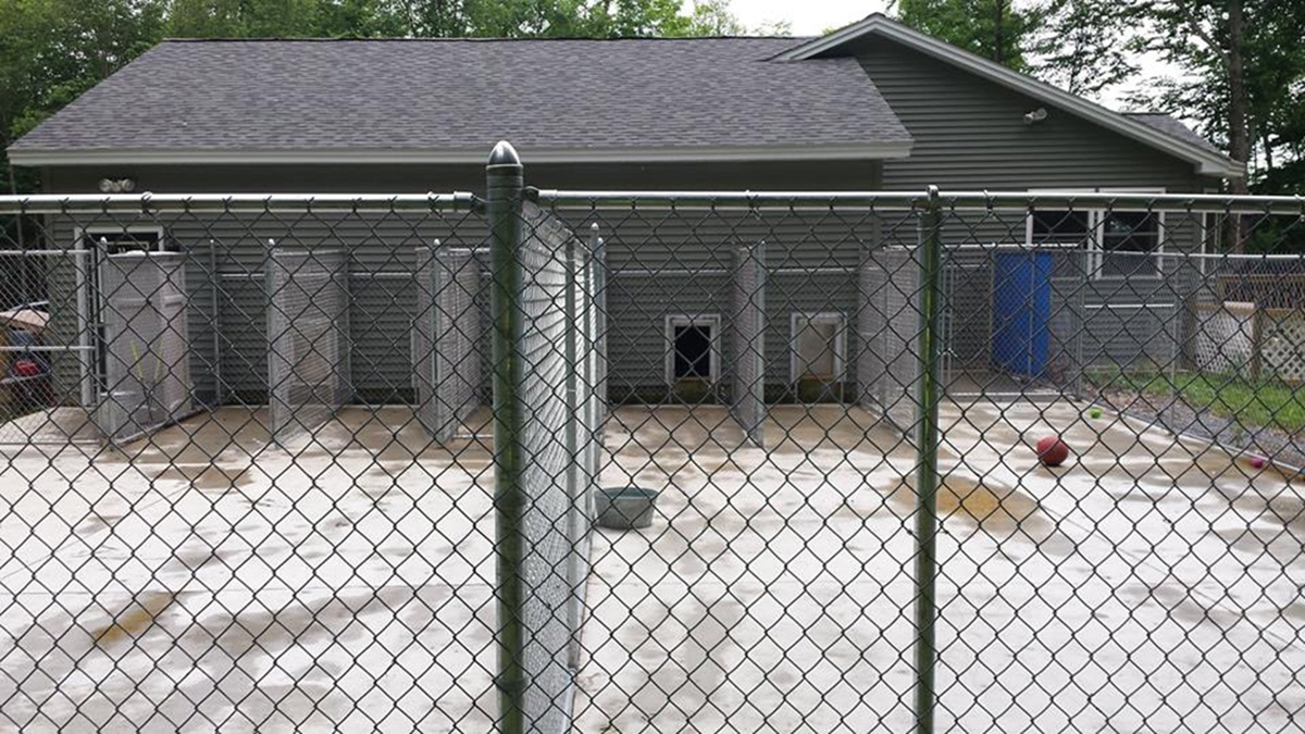 Windy Mountain Kennels, Granville, NY - Corgi Breeder, Boarding